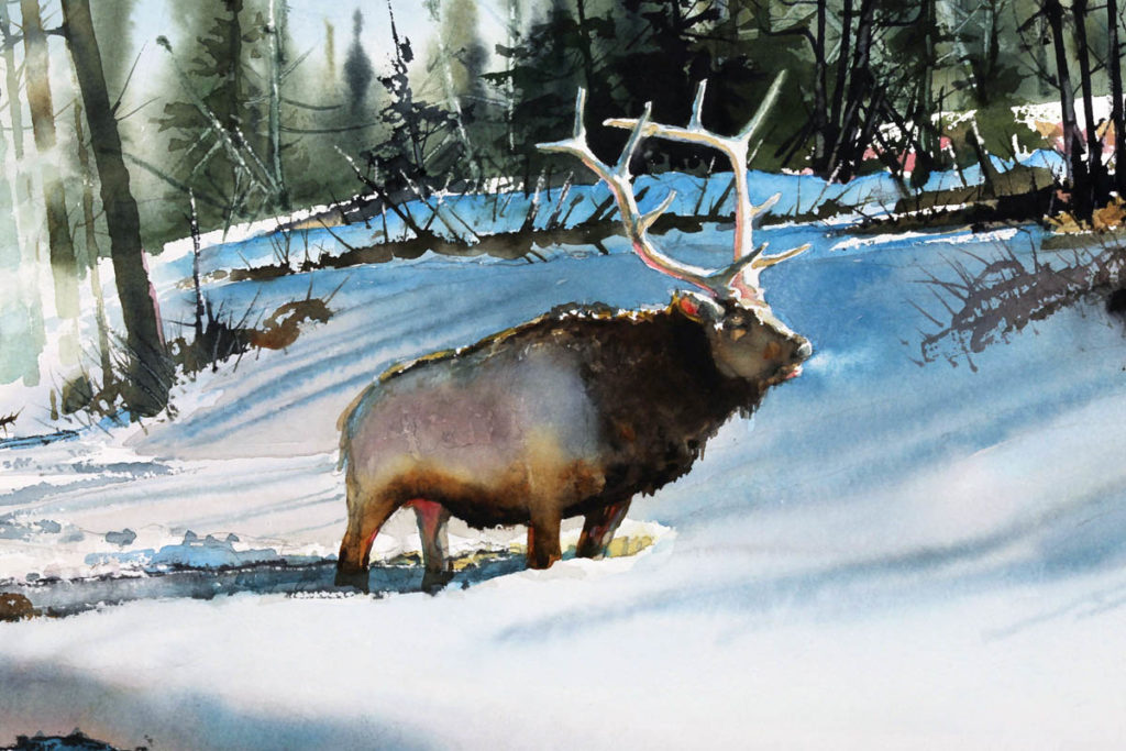 Contact - David Rankin Watercolors